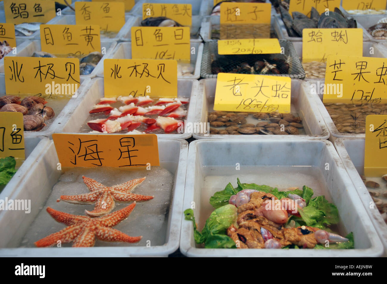 Fish market in shanghai china hi-res stock photography and images - Alamy