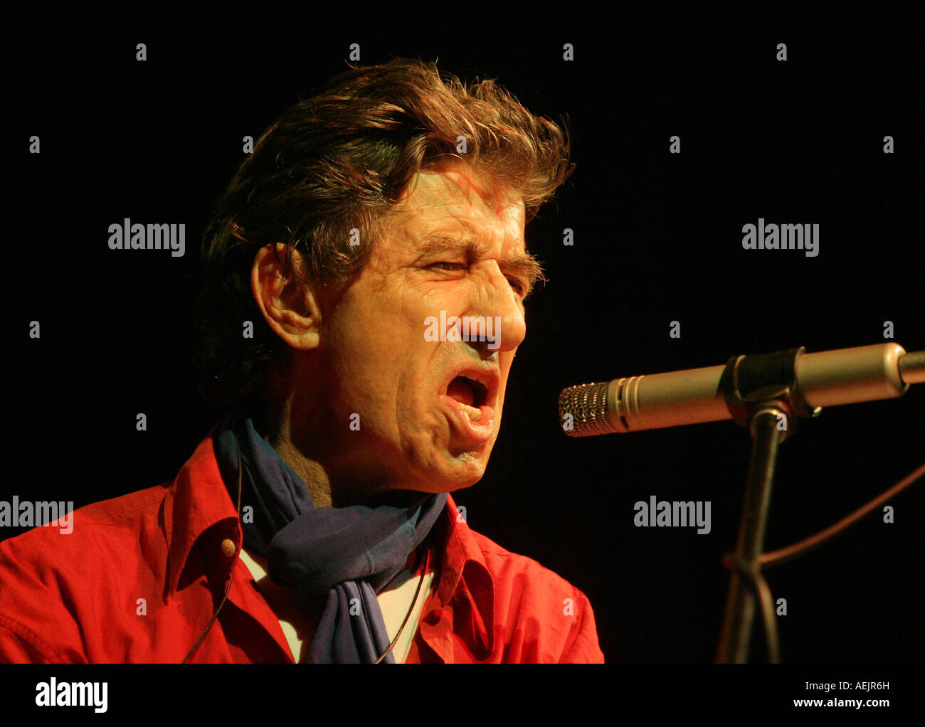Singer and actor Rolf Zacher, Germany Stock Photo - Alamy