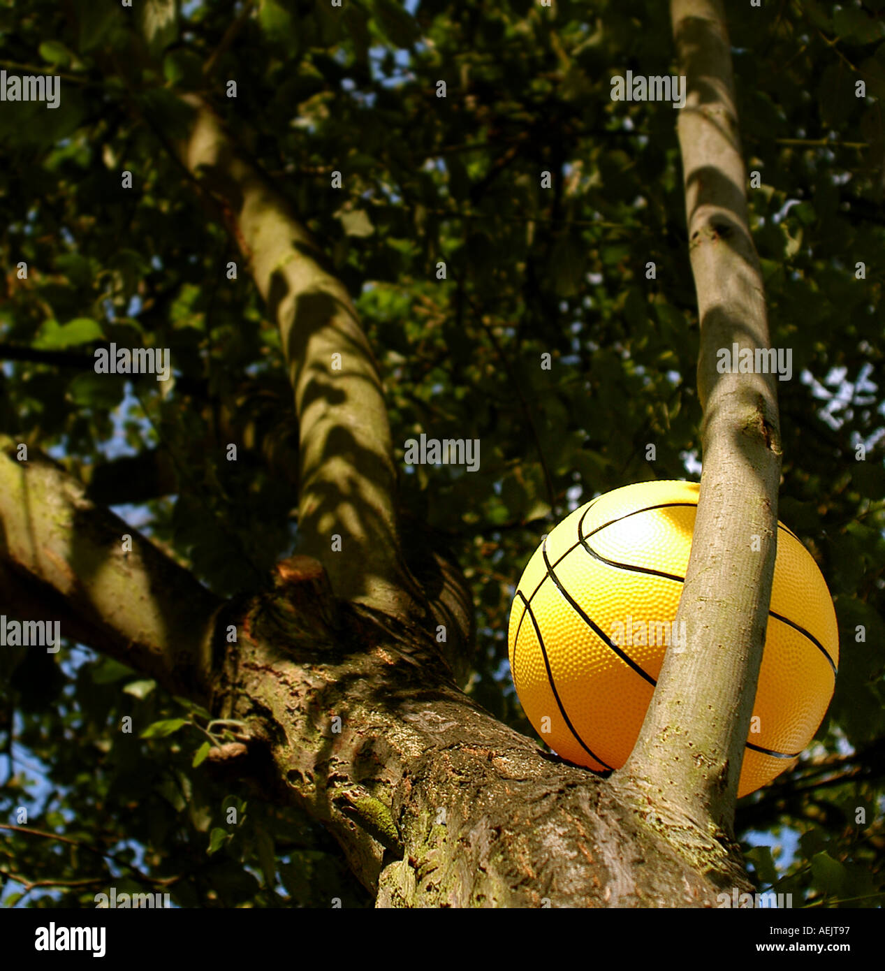 Wedged steel hi-res stock photography and images - Alamy