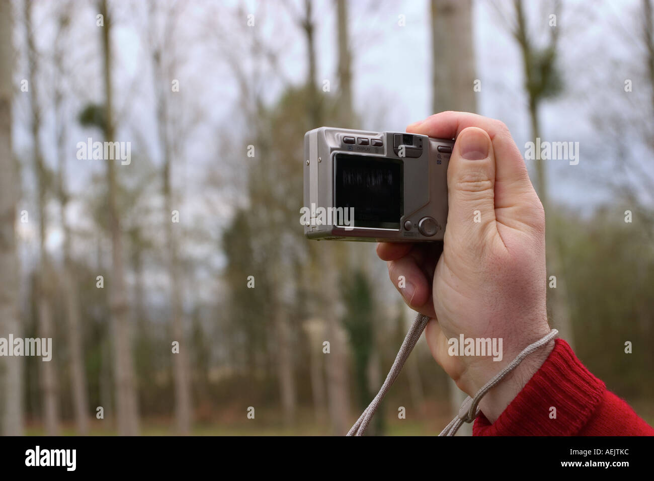 hand of man taking picture Stock Photo - Alamy
