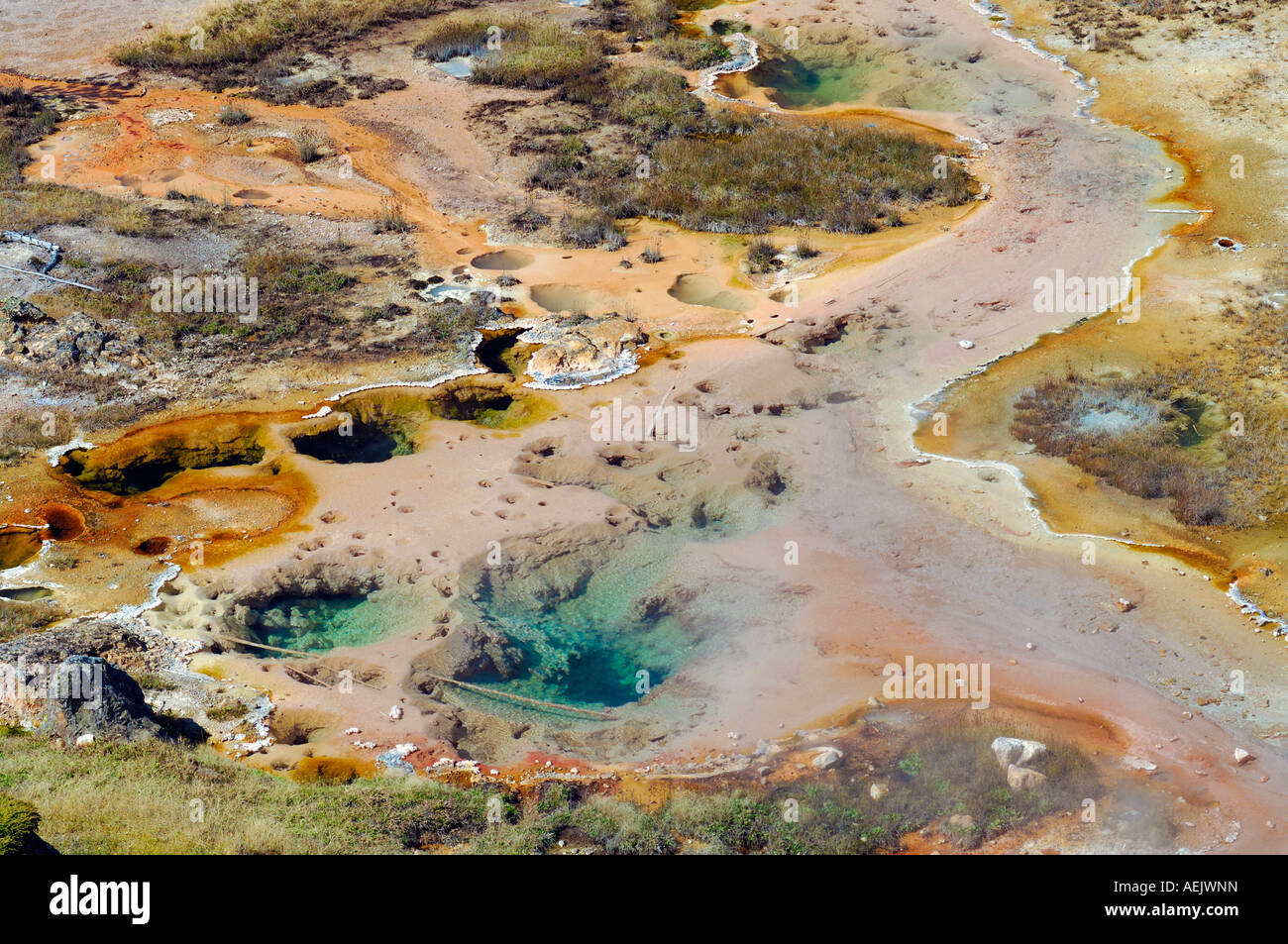 Discoloring hi-res stock photography and images - Alamy