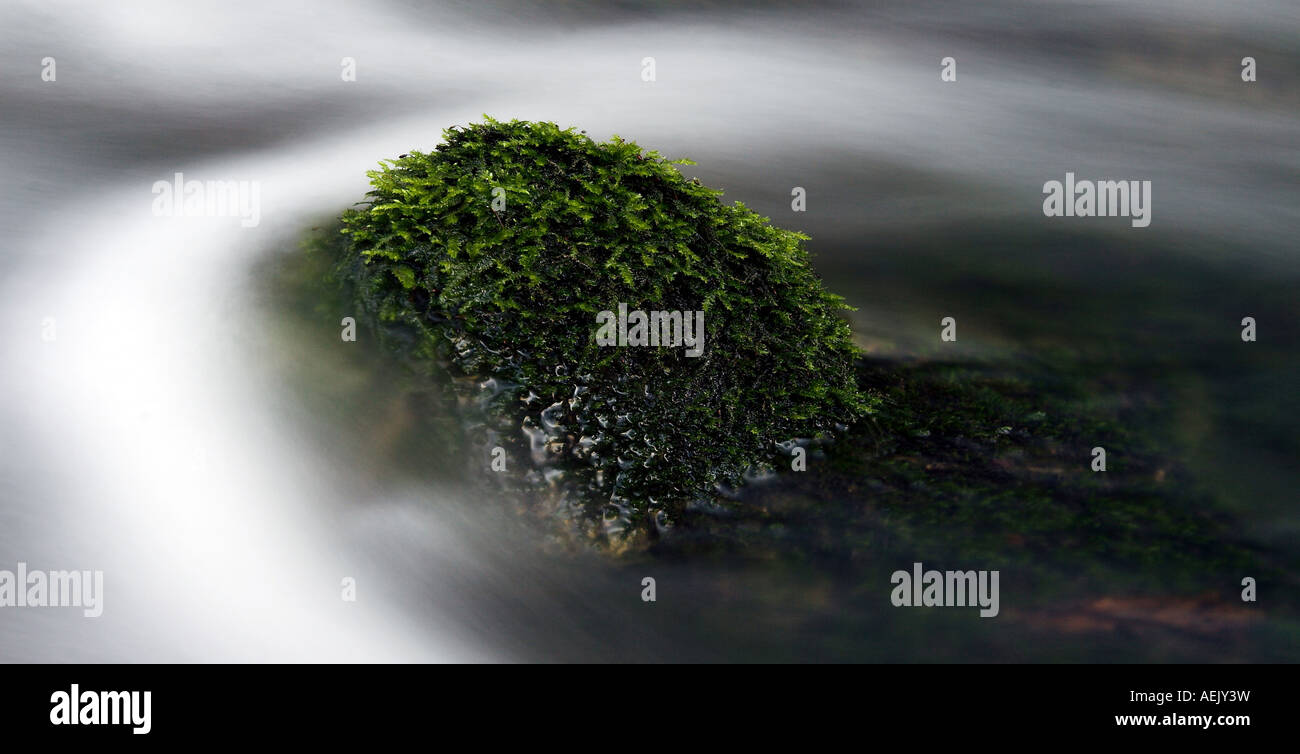 Stone in the watercourse Stock Photo - Alamy