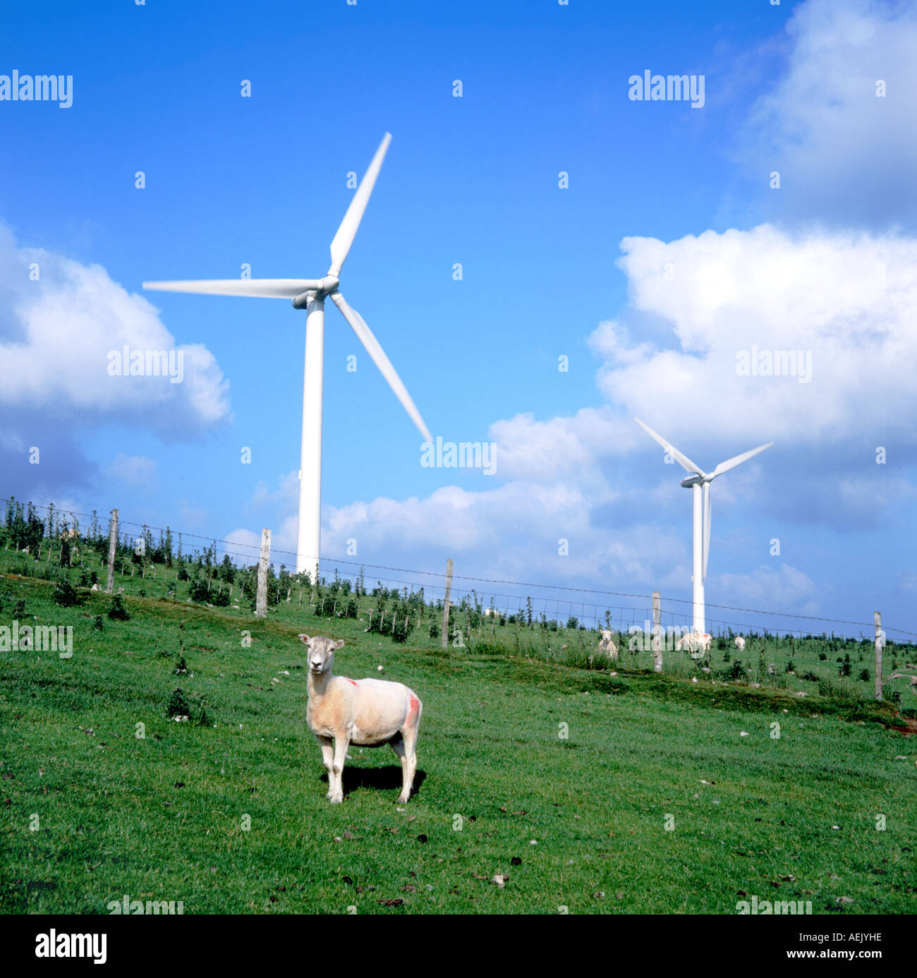 Gilfach goch hi-res stock photography and images - Alamy