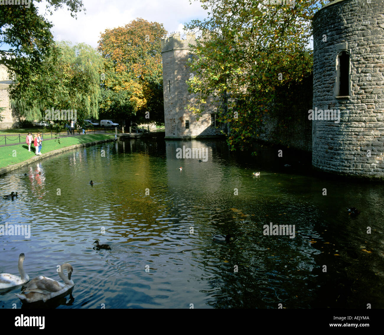 Wells Cathedral, Bishops Palace and Moat, Wells, Somerset Stock Photo ...