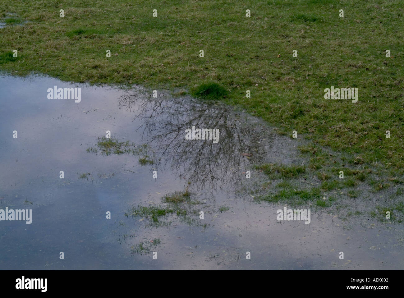 Engulfed by flood water hi-res stock photography and images - Alamy