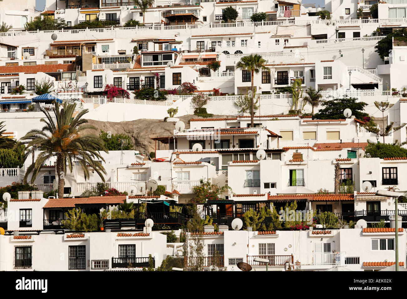 Patalavaca hi-res stock photography and images - Alamy