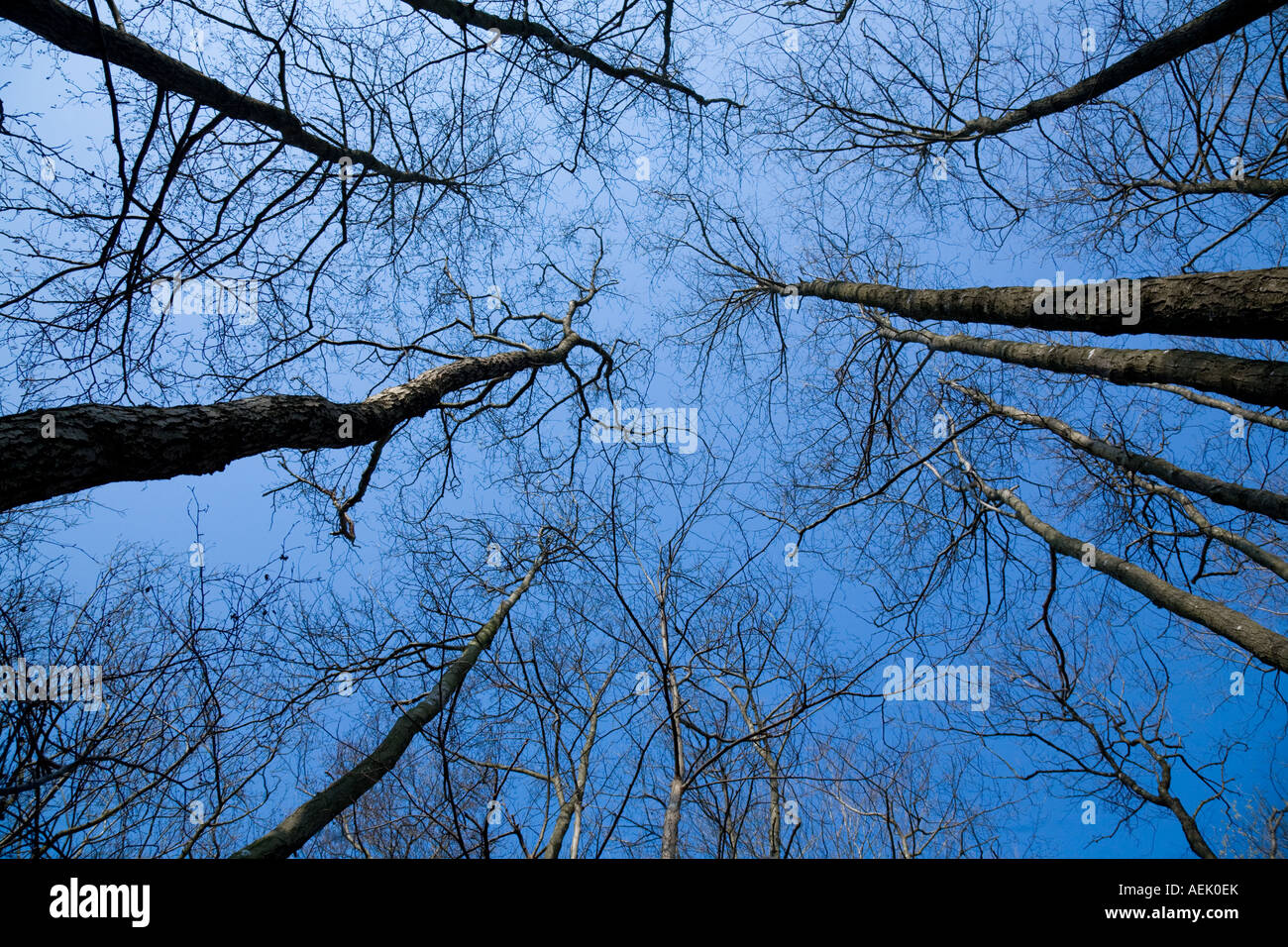 Point pointing skyward hi-res stock photography and images - Alamy