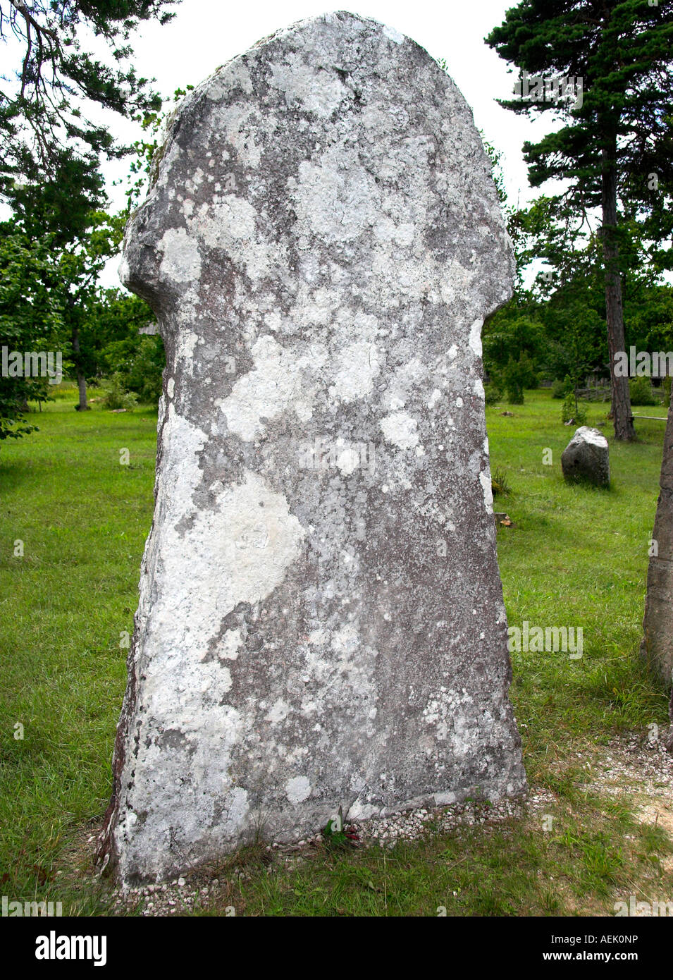 Viking stone gotland hi-res stock photography and images - Alamy