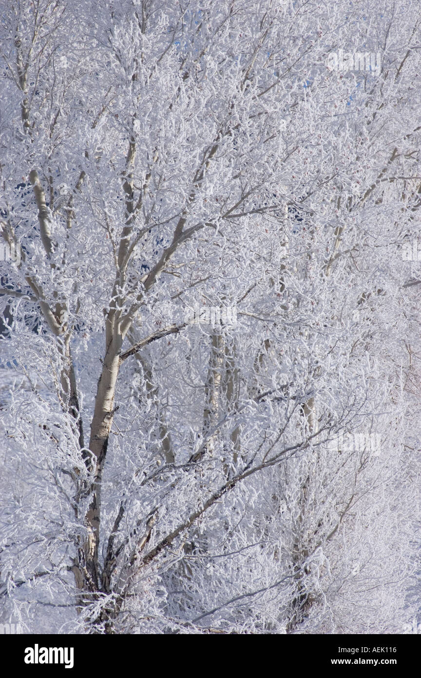 Icey texture hi-res stock photography and images - Alamy