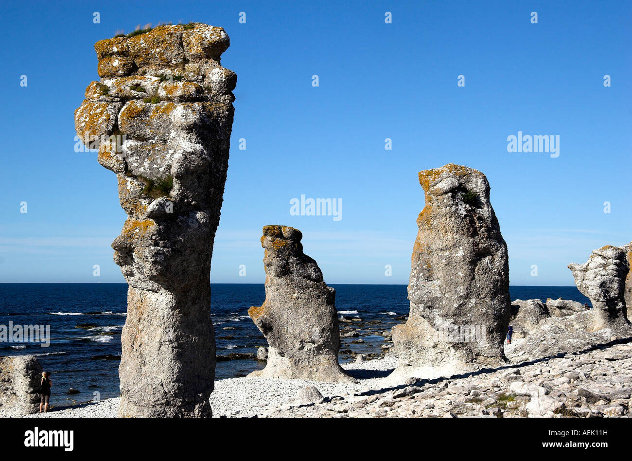 Limestone shapes in on the island Faroe, Gotland, Sweden Stock Photo ...