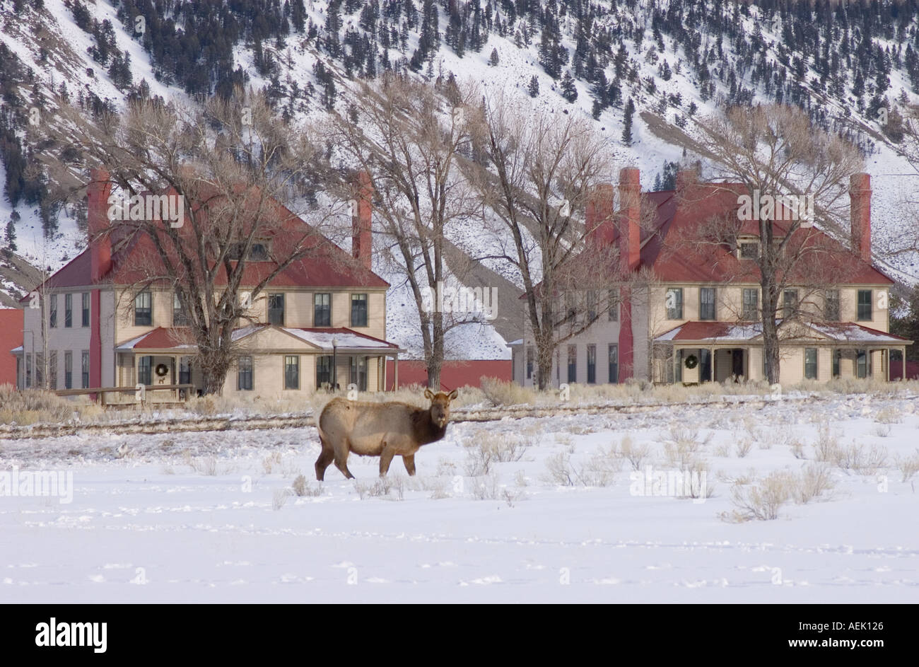 Historic fort yellowstone hi-res stock photography and images - Alamy