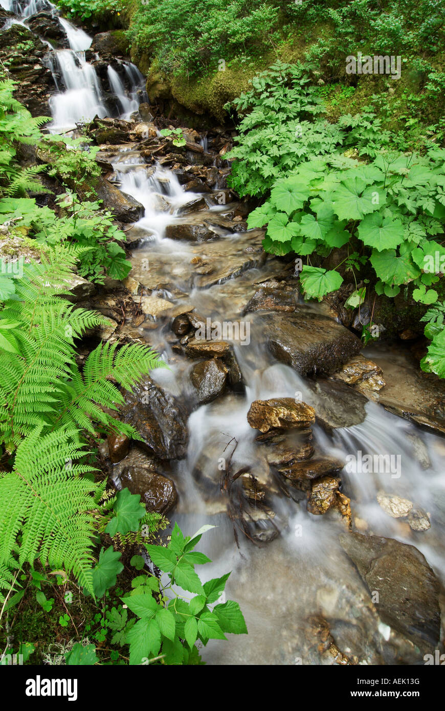 River brook stream Stock Photo - Alamy