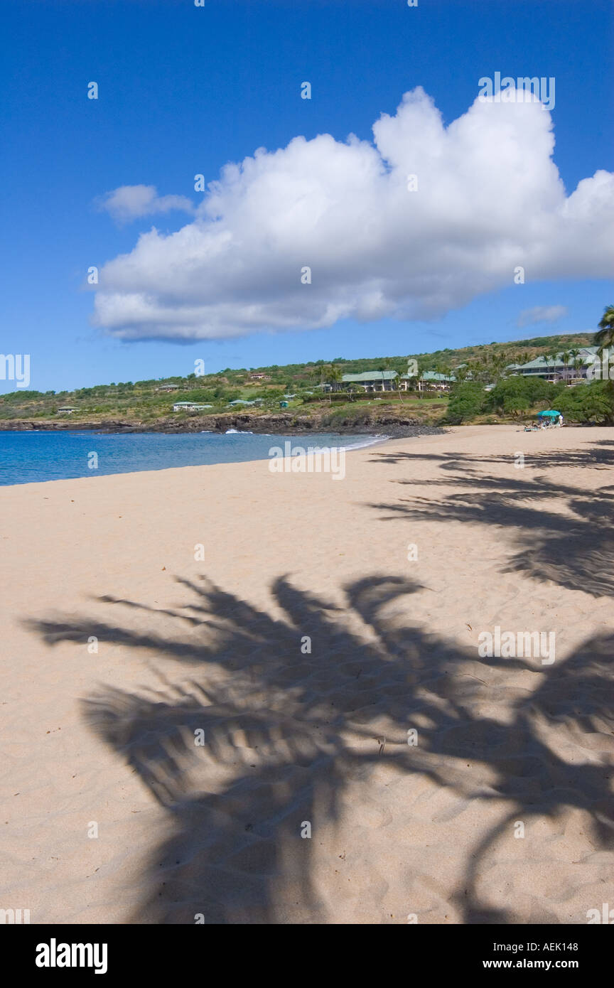 Sandy beach with palm tree shadows at Manele Bay Beach Park Island of ...