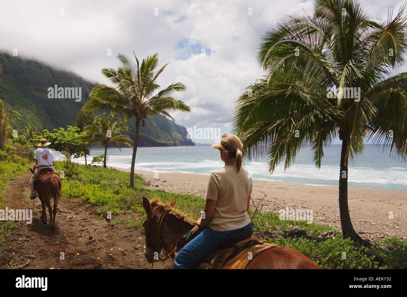 Couple riding along beach on Molokai Mule Ride tour at Kalaupapa ...