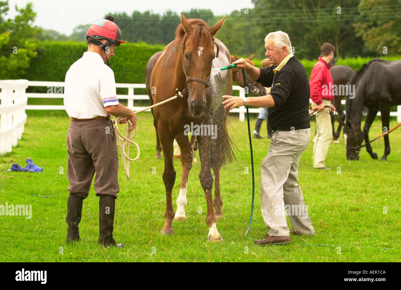 PERSIAN PUNCH GETTING A WASH DOWN FROM TRAINER DAVID ELSWORTH AT THE ...
