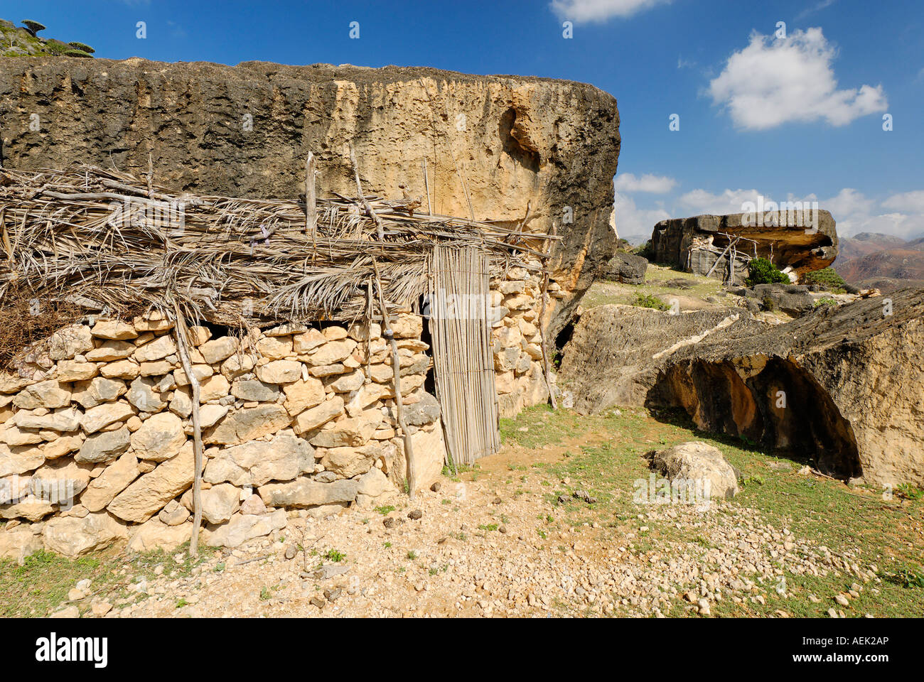 Suqutra yemen hi-res stock photography and images - Alamy