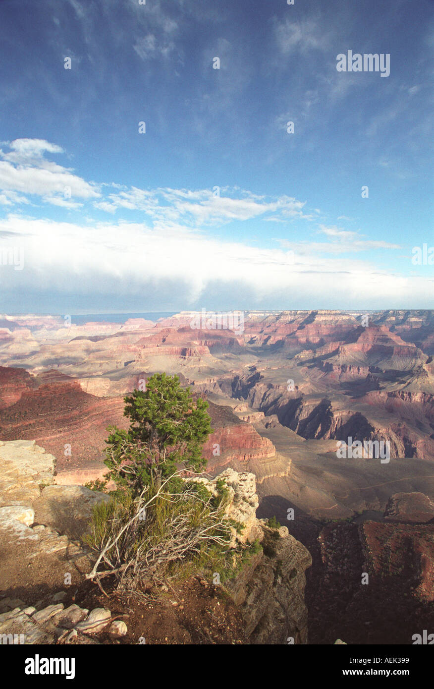 Grand Canyon NP Arizona Stock Photo - Alamy