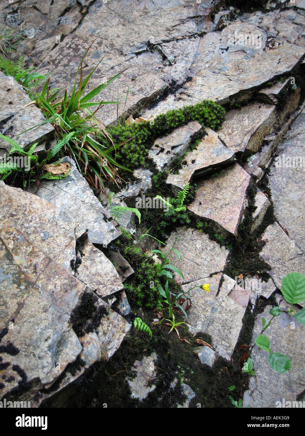 Strata rock ground hi-res stock photography and images - Alamy