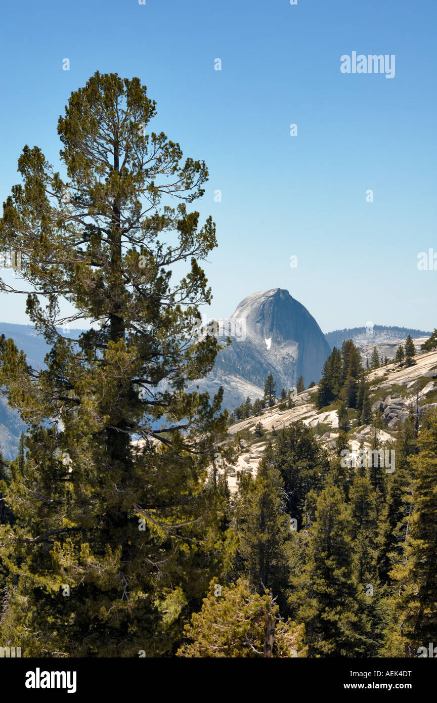 View of Half Dome from Olmsted Point in Yosemite National Park Stock ...