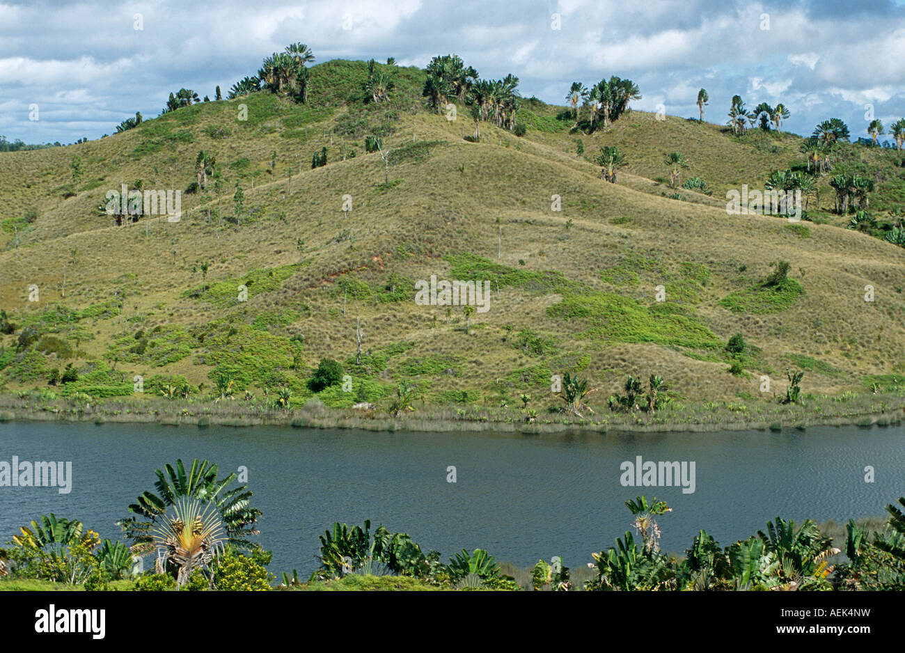 Deforestation rainforest erosion hi-res stock photography and images ...