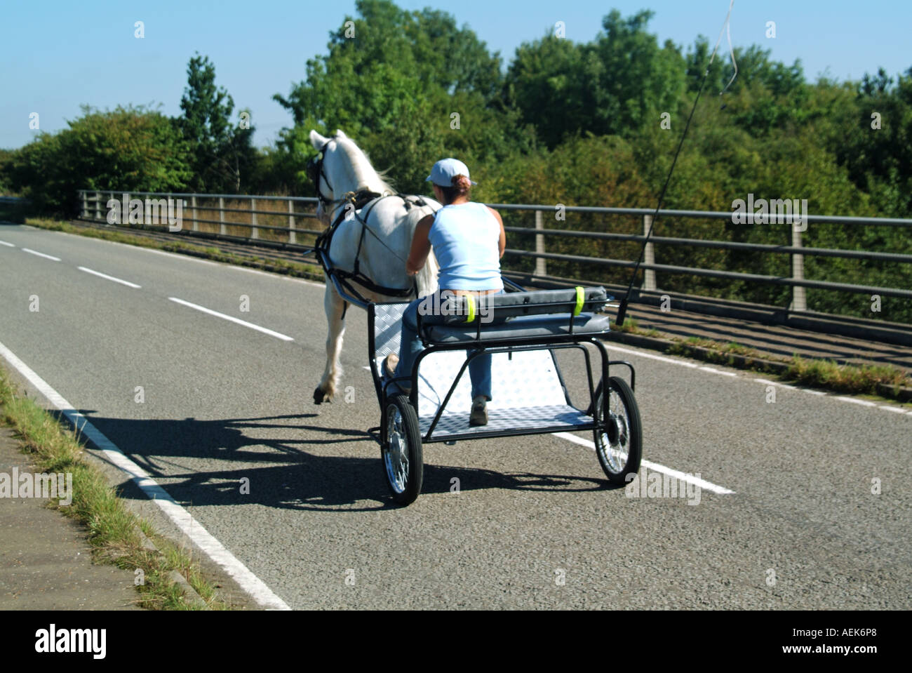 Pony & trap hi-res stock photography and images - Alamy