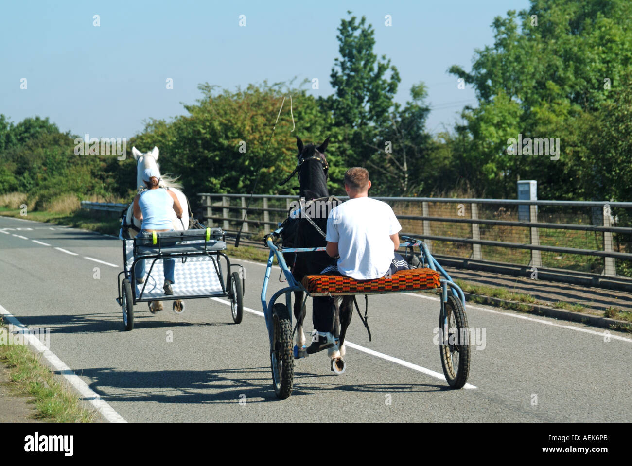 Two of a kind pony and trap rigs exercising along country road Essex ...