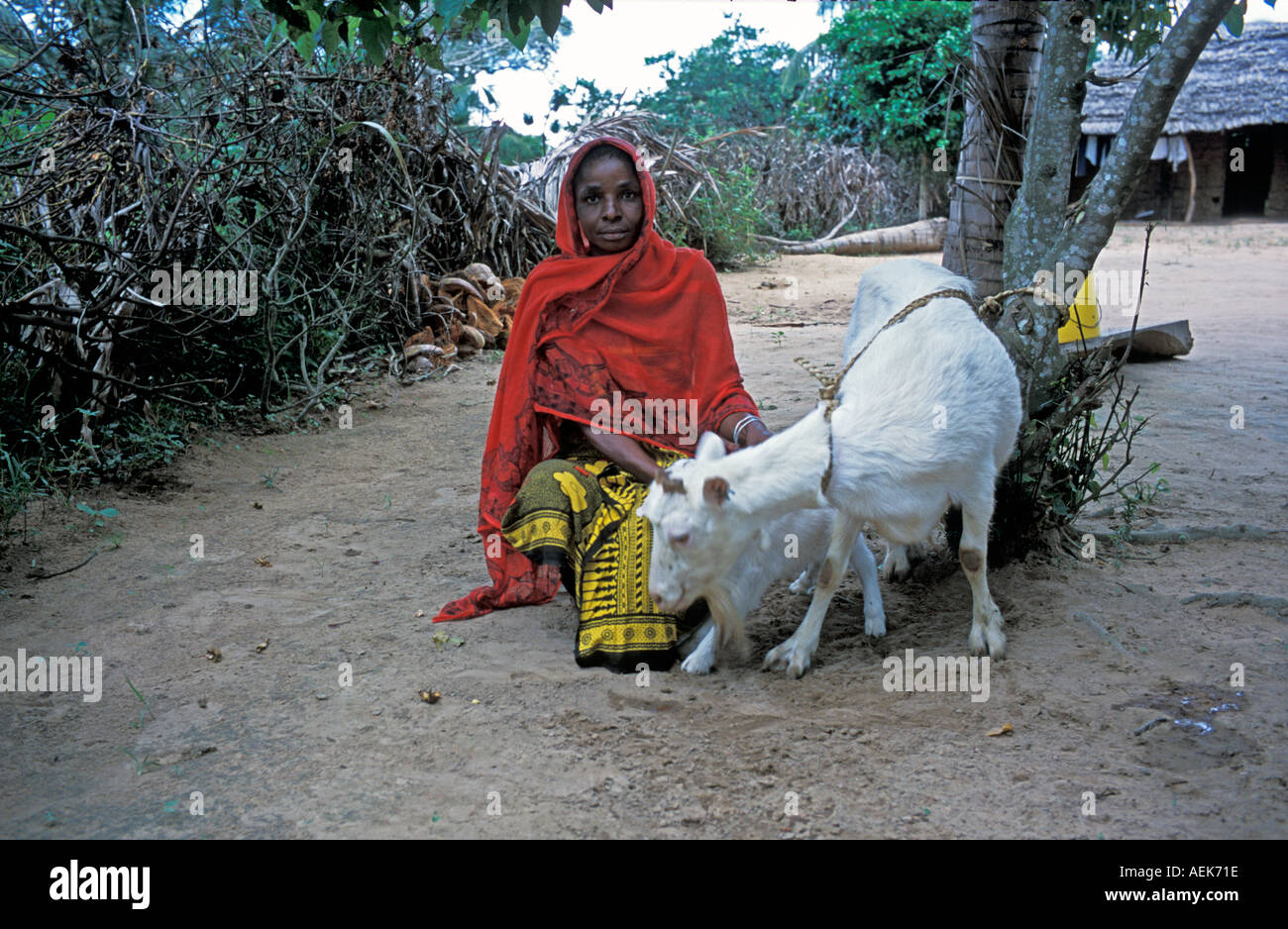 AFRICA KENYA DIGO Muslim woman with her Heifer Project International ...