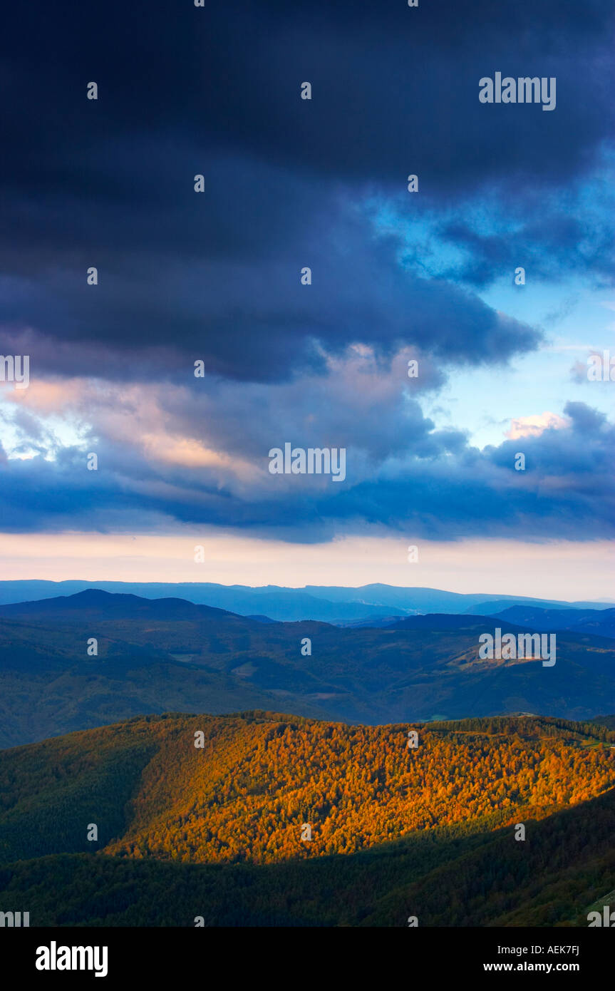 Arbol dorado hi-res stock photography and images - Alamy