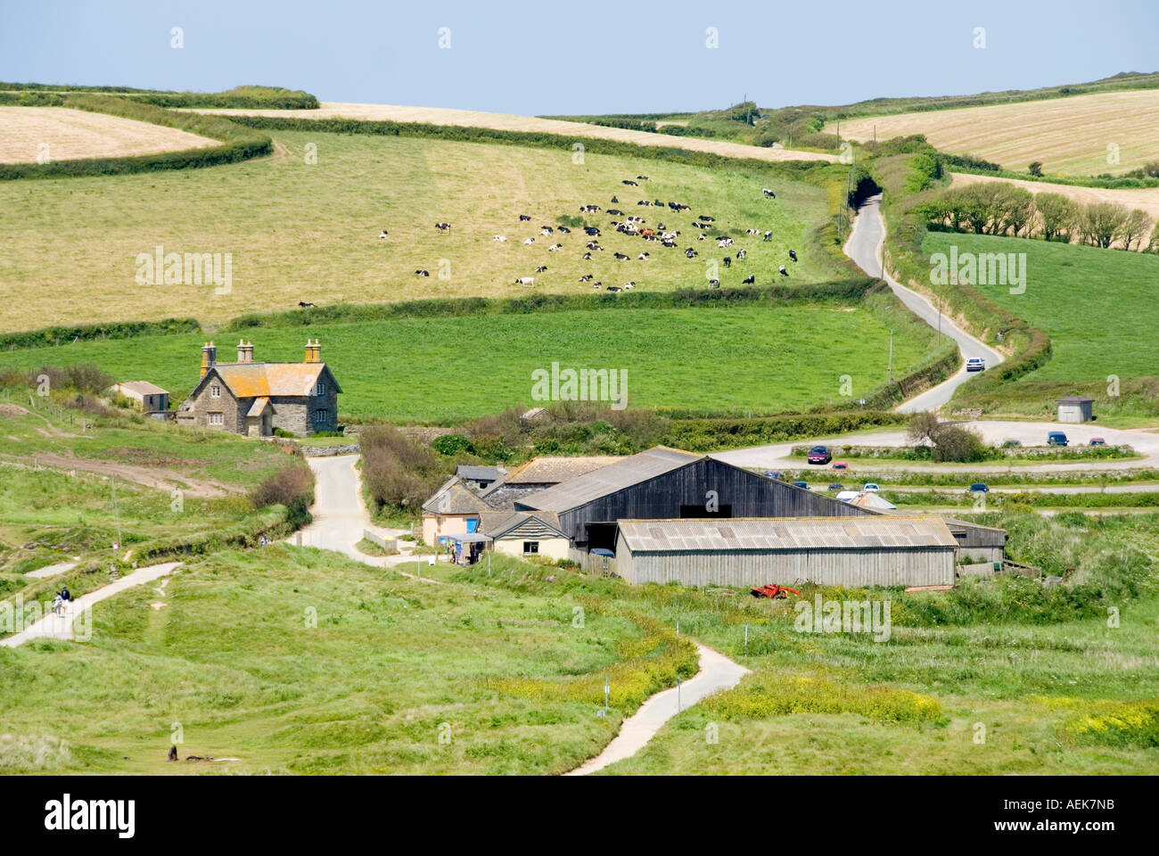 Farm business & house building farmyard barns at Church Cove near ...