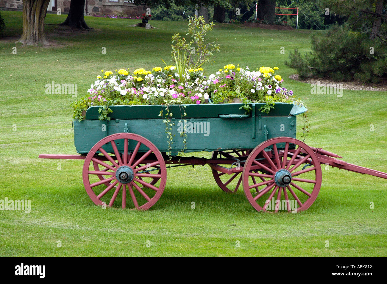 Old wagon with a floral arrangement Stock Photo - Alamy