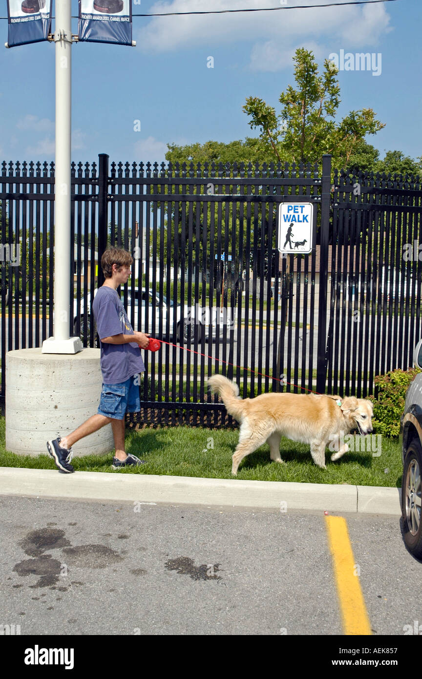 Male walks dog in a Pet walk area along a park way Stock Photo - Alamy