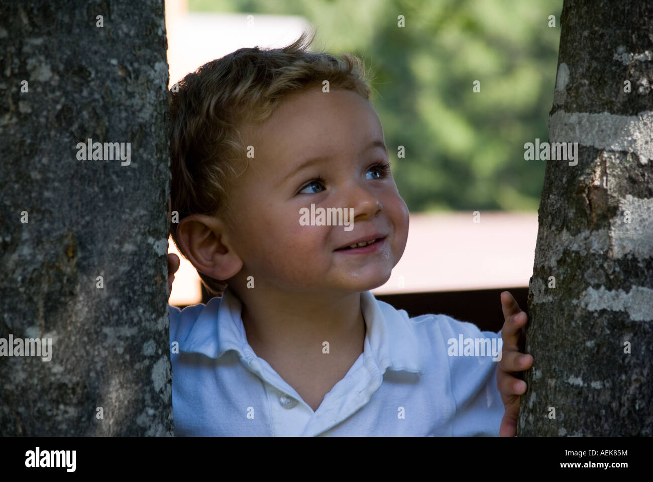Happy baby between two trees Stock Photo - Alamy