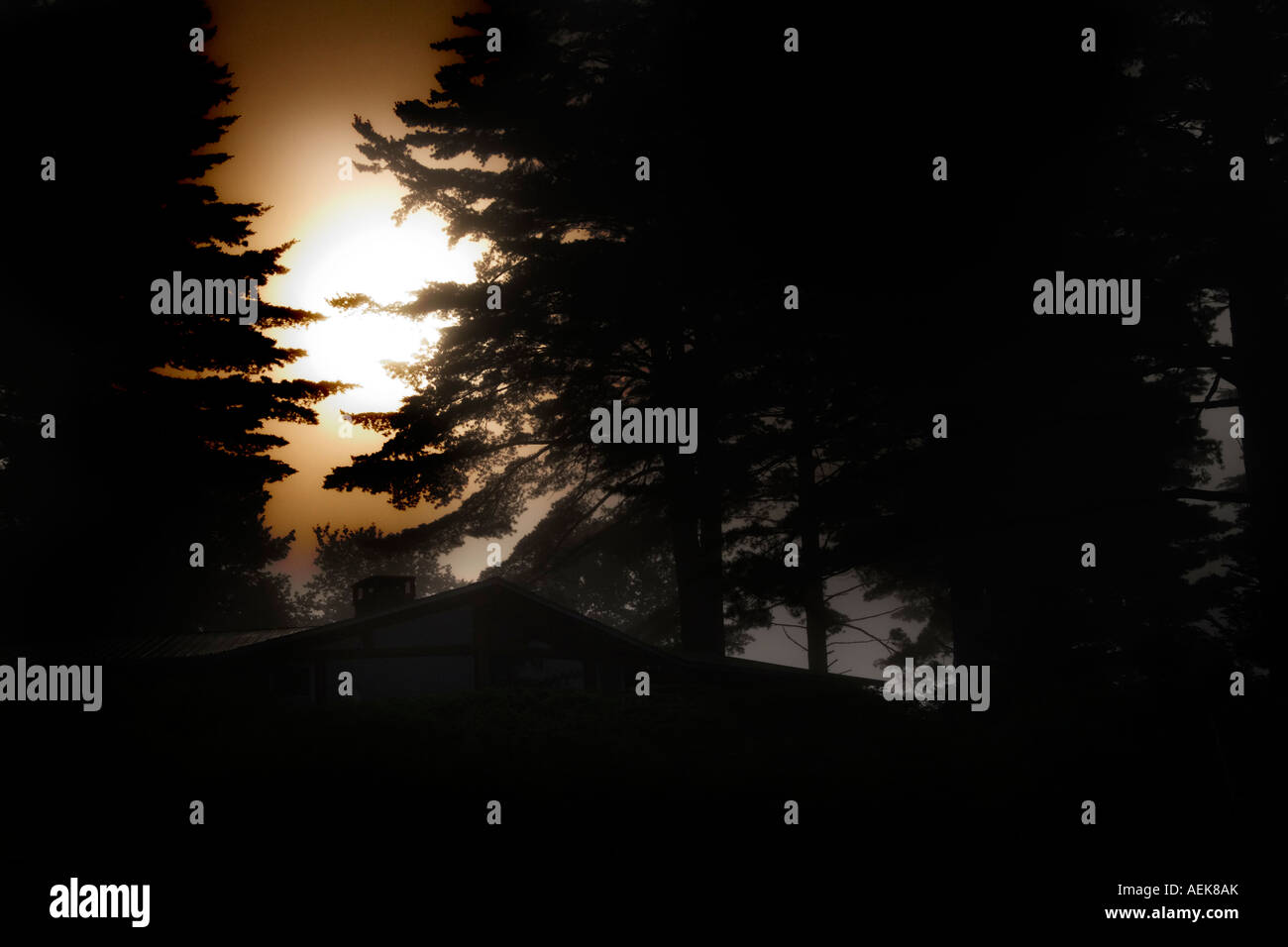 Backlit trees and cottage at sunrise Stock Photo - Alamy