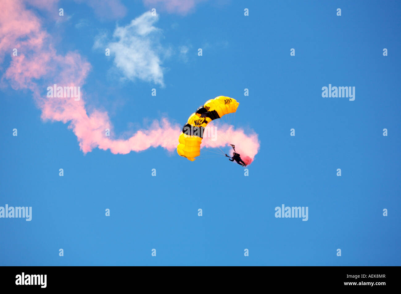 US Army Parachute Team the Golden Knights Stock Photo - Alamy