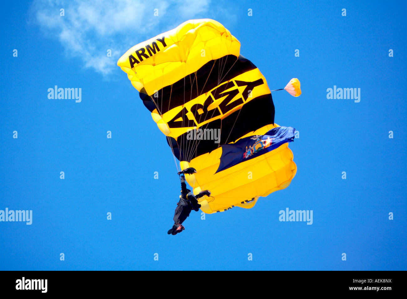 US Army Parachute Team the Golden Knights Stock Photo - Alamy