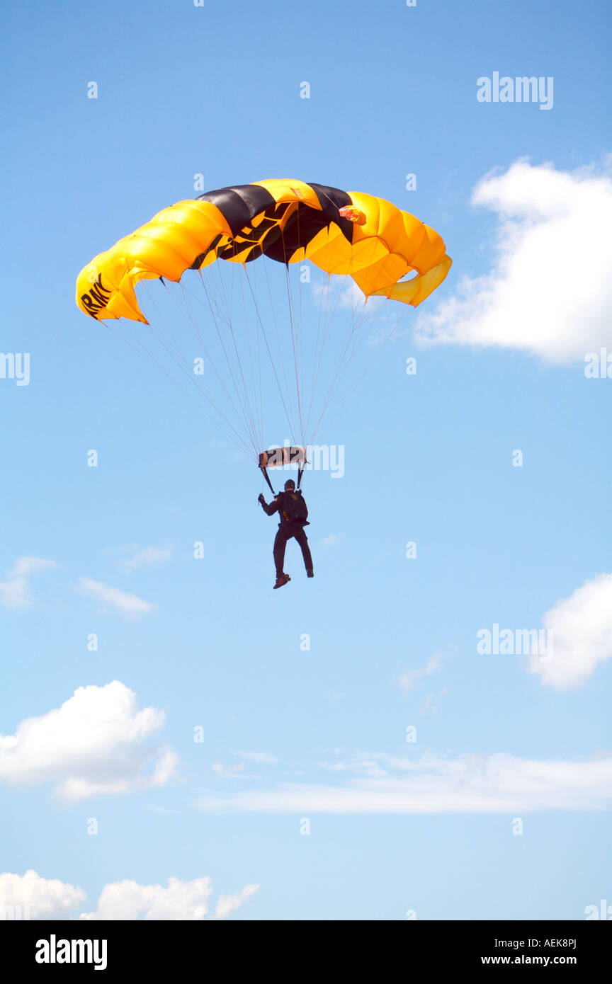 US Army Parachute Team the Golden Knights Stock Photo - Alamy