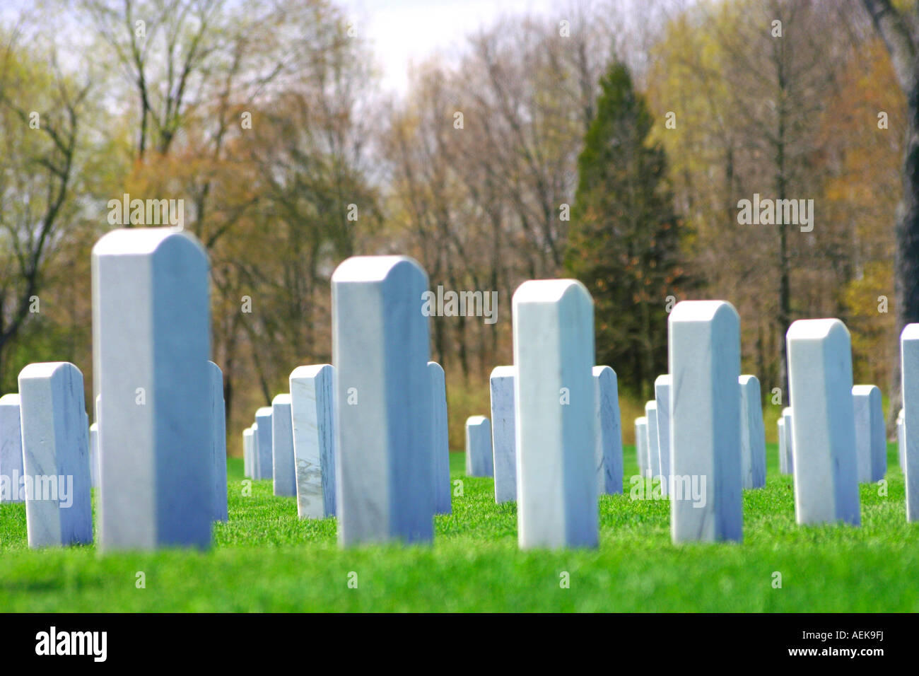 Fort Custer Recreation Area and National cemetery in Michigan Stock ...
