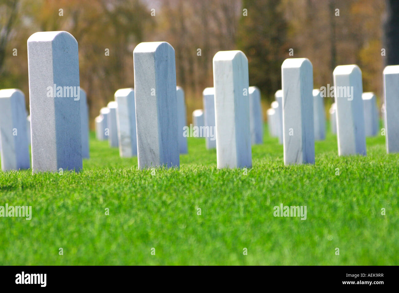 Fort Custer Recreation Area and National cemetery in Michigan Stock ...
