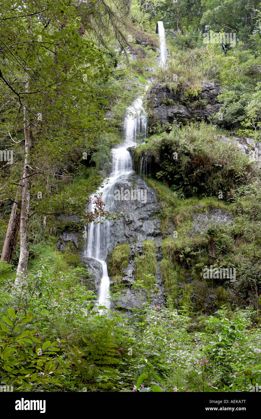 Canonteign Falls, England's Highest Waterfall Stock Photo - Alamy