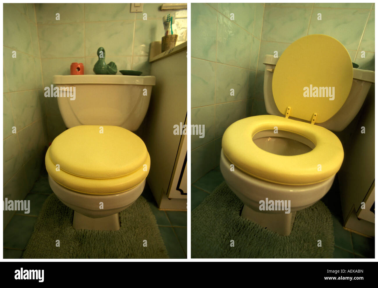 Before and after Toilet sit cover closed an open Stock Photo - Alamy