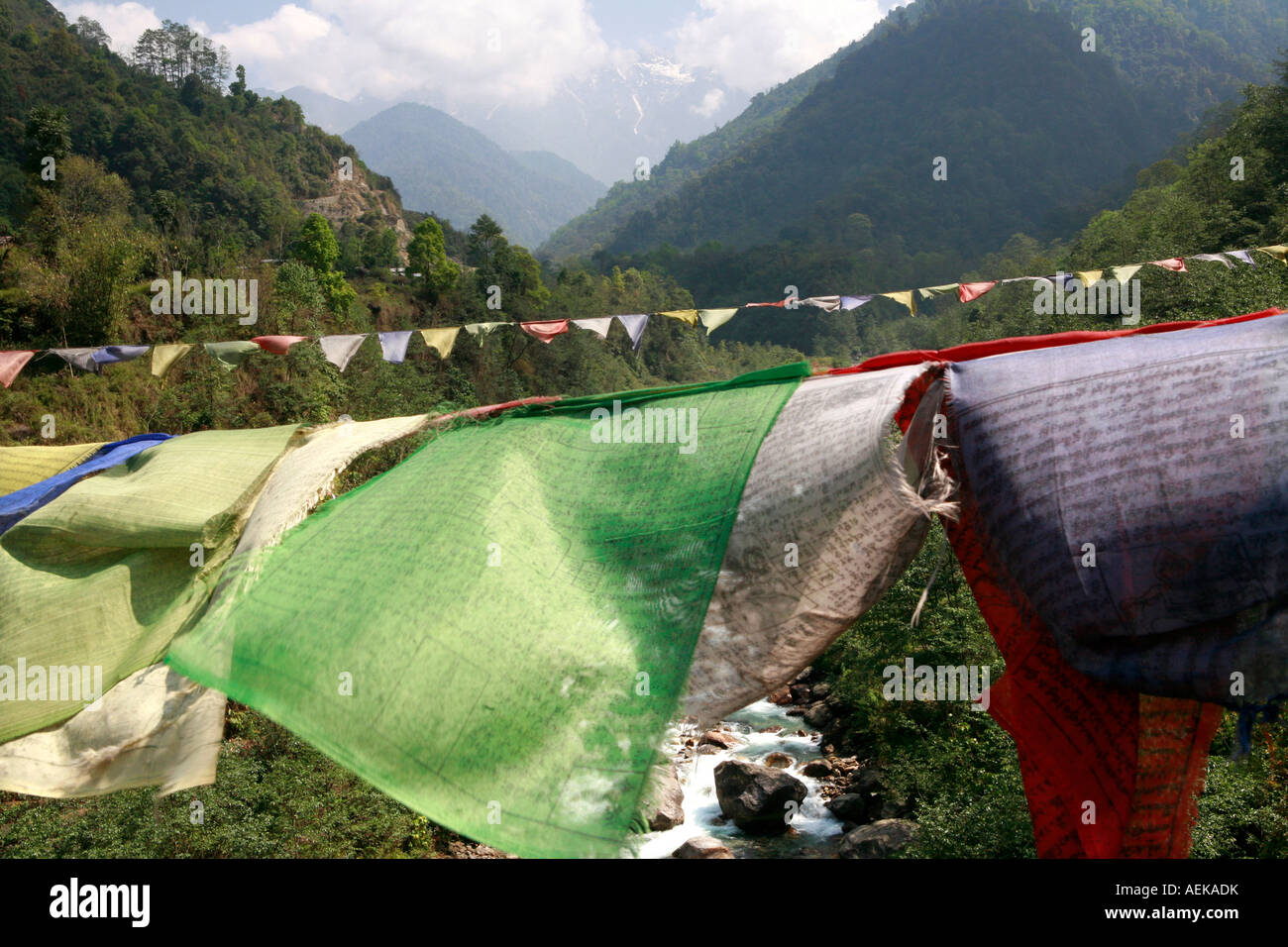 Buddhist prayer flags in the himalayan foothills of Sikkim, India Stock ...
