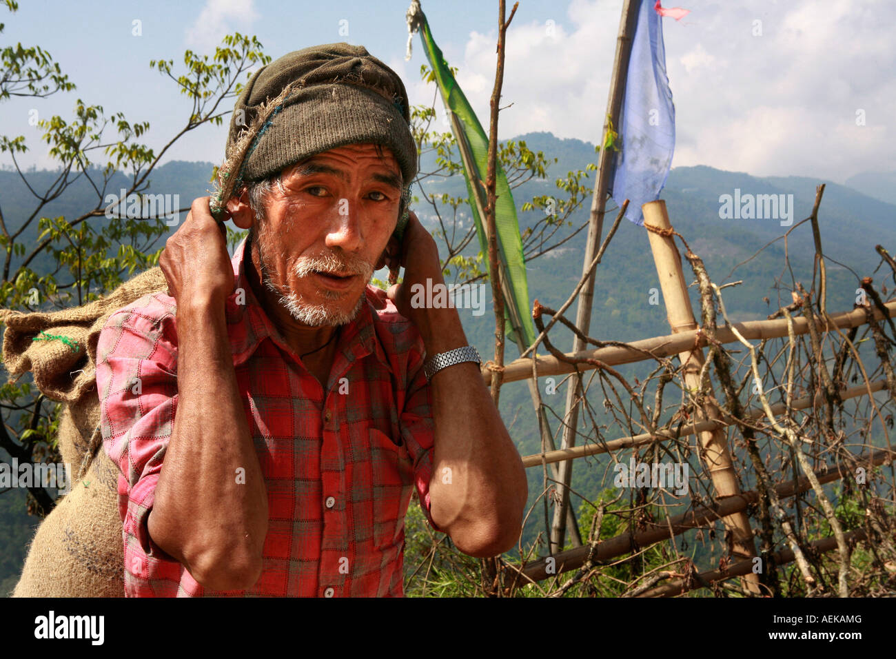 Hill farmer carrying fodder in the foothills of Sikkim, India Stock ...