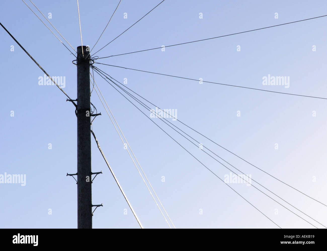 Ladder and telegraph pole hi-res stock photography and images - Alamy