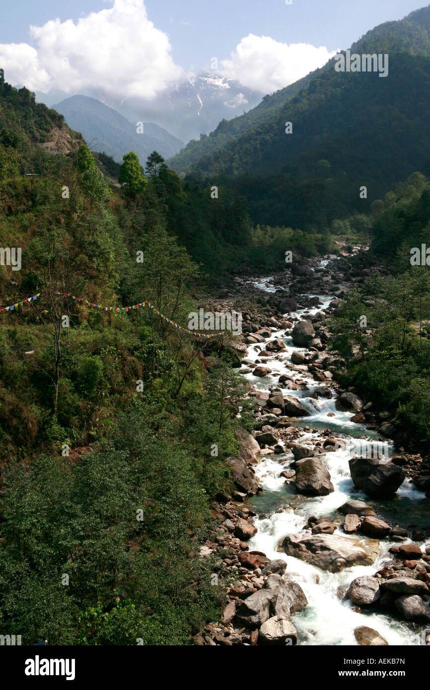 The himalayan foothills of Sikkim, India Stock Photo - Alamy