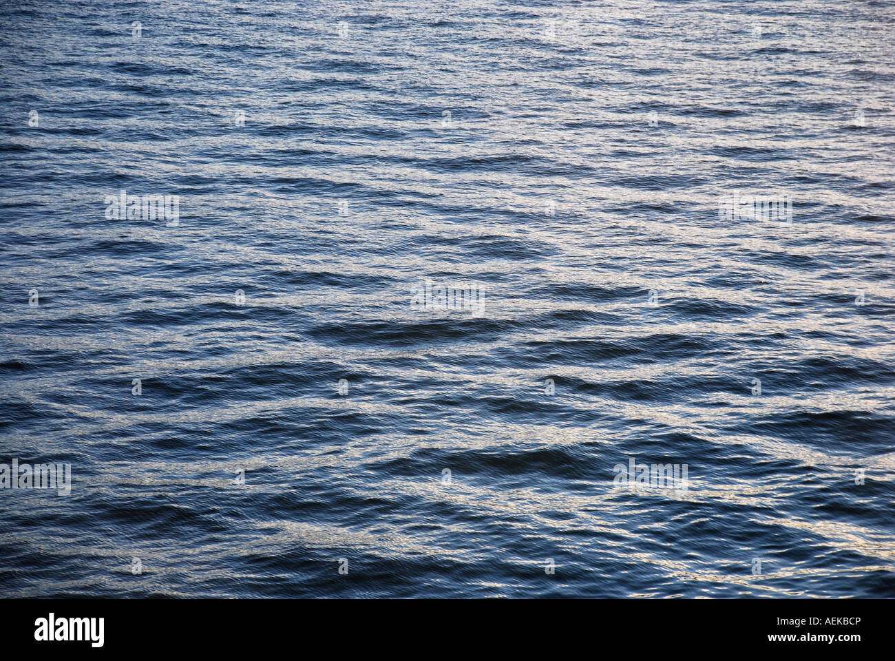 CALM FLAT OPEN WATER IN ROSE BAY SYDNEY HARBOUR AUSTRALIA Stock Photo ...
