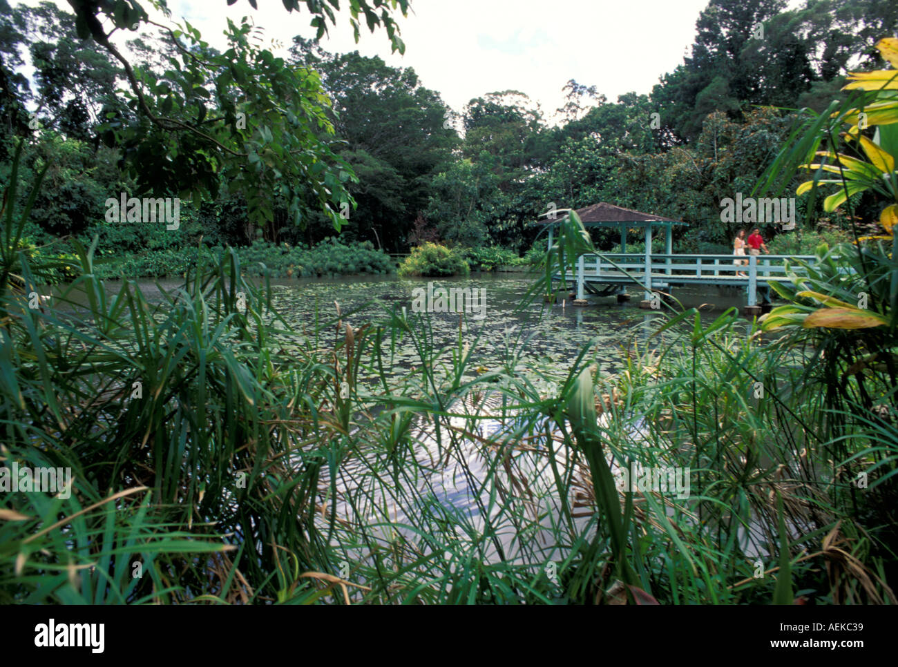 Haiku hi-res stock photography and images - Alamy
