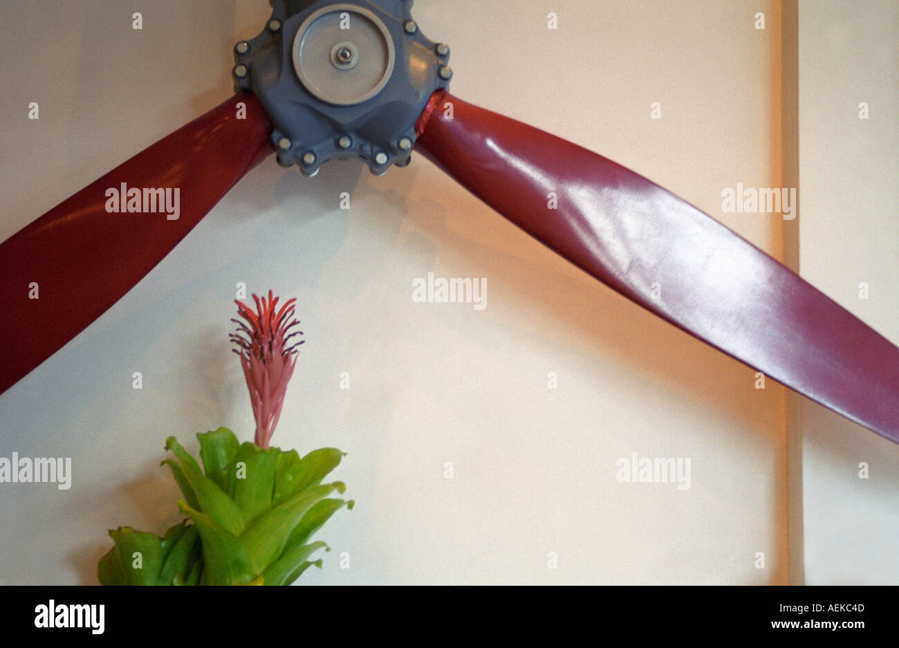 Propellor aeroplane hi-res stock photography and images - Alamy