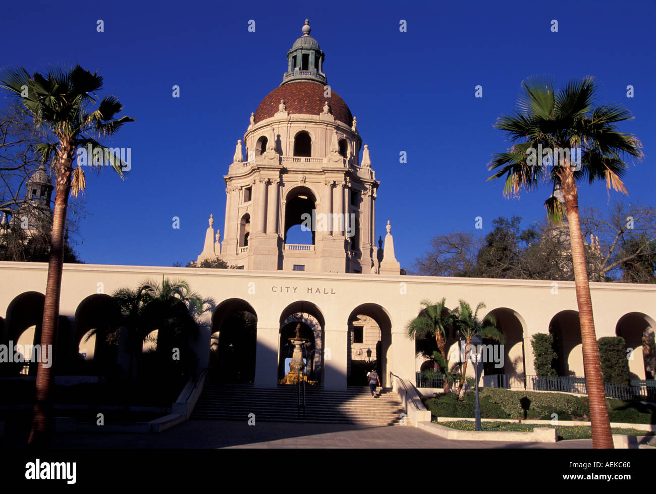 Pasadena palm trees hi-res stock photography and images - Alamy