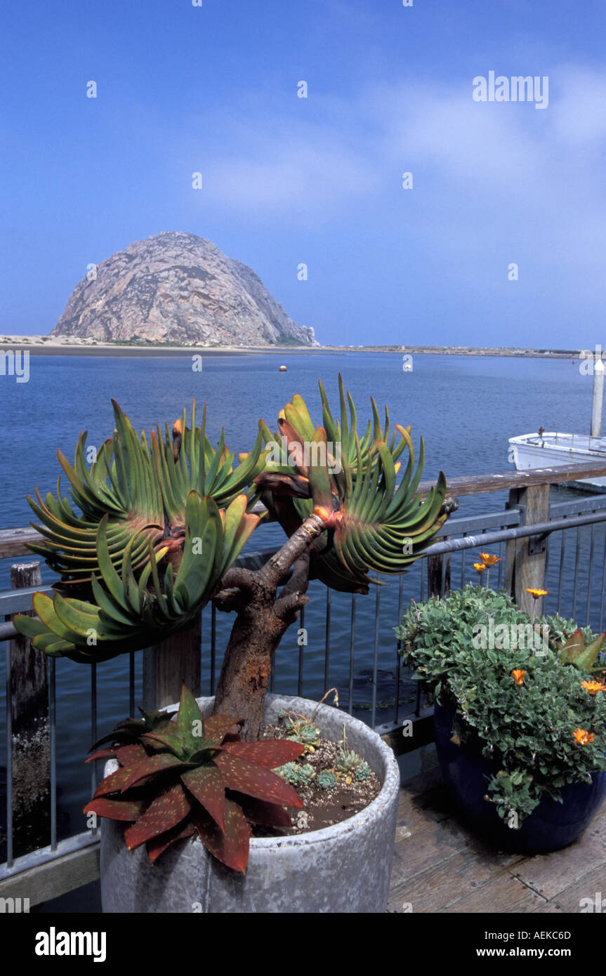Morro Rock Morro Bay California Stock Photo - Alamy
