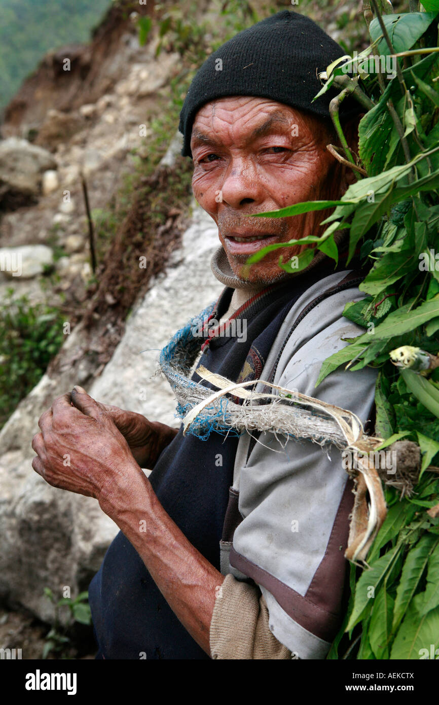 Hill farmer carrying fodder on the road between Gangtok and Phodong ...